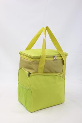 Cina 48 Can Cooler Bags For Picnic-HAC13093 in vendita