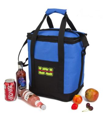 Cina Large Cooler Ice Bag With Handles-5102B in vendita
