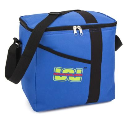 Cina Promotional Cooler Ice Bags For Food-5104B in vendita