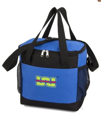 Cina Insulated Cooler Bag For Picnic-5105B in vendita