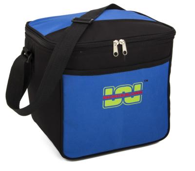 Cina Cool Cooler Bags For Picnic-5106B in vendita