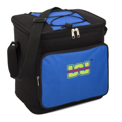 Cina New arrival disposable cooler bag for frozen food-5109B in vendita