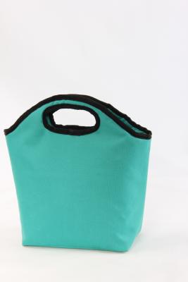 Cina Polyester Small Cute Lunch Cooler Bag for Kids-HAC13322 in vendita