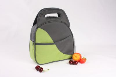 Cina Picnic Cooler and Polyester Lunch Cooler Tote Bags-HAC13318 in vendita