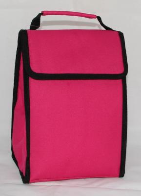 Cina Pink Insulated Tote Cooler Bag -HAP12038P in vendita