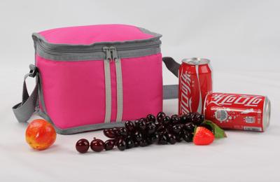 Cina Pink Polyester Promotion Cooler Bags-HAC13329 in vendita