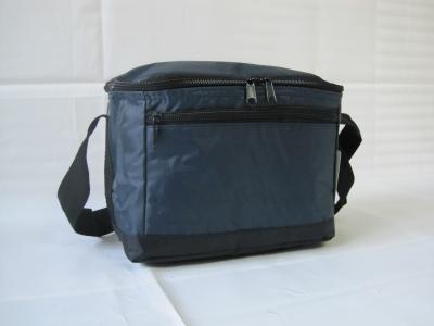 Cina Polyester can cooler bags for promotion -HAC13364 in vendita