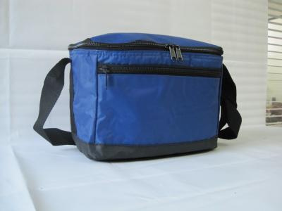 Cina 70D polyester cooler ice bags for wholesale -HAC13365 in vendita