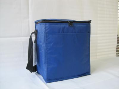 Cina Promotion cheap cooler ice bag for cans-HAC13362 in vendita