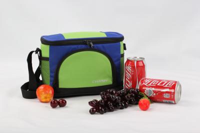 Cina 600D Polyester cooler lunch bags for children-HAC13336 in vendita