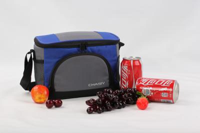Cina Fashion insulated cooler bags for food-HAC13337 in vendita