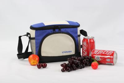 Cina 6 cans cooler bags for promotion-HAC13339 in vendita