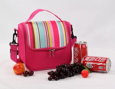 Cina Fashion Style Cooler Ice Bags For Picnic-HAC13334 in vendita