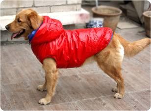 China candy color coat for dog fashion eco-friend material cheap price 8 sizes 4 colors for sale