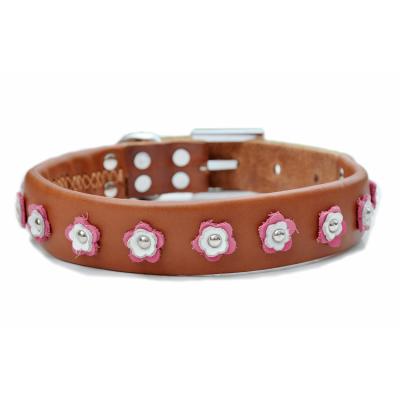 China 2012 wholesale real leather collar,collar for dog for sale