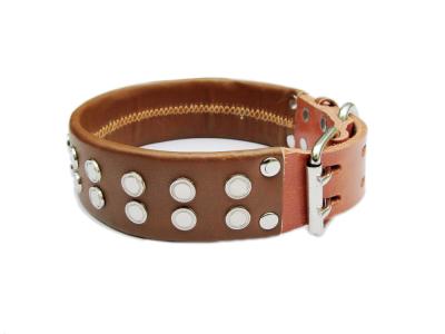 China 2012 wholesale leather collar,collar for big dog for sale