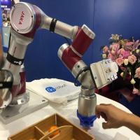 China 6 Axis Collaborative Robot Arm For Electrical Product Visual Inspection for sale