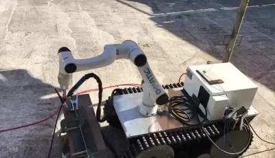 Cina Cobot Robot Elfin 3 With 3KG  Payload 590mm Reach And 6 Axis Robot Arm As Grinding Equipment in vendita