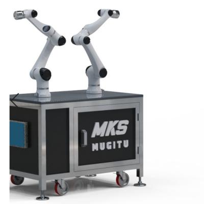 Cina Cobot Robot Of Elfin E10-L Medical Robot Main Material Aluminum Alloy with Manipulator Robot Arm in vendita