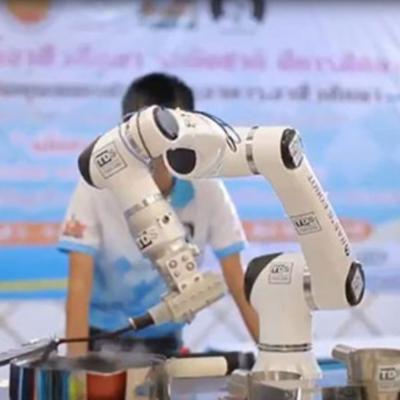 China Small 6 Axis Robot Arm Of Elfin E10 For Intelligent Detection Robot With Collaborative Robot Te koop