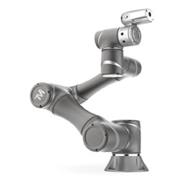 Cina Chinese TM Cobot Robot For Mig Welding Applicable 3C Industry Automobile And Food industry Collaborative Robot in vendita