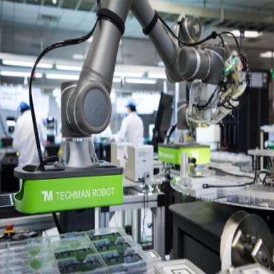 Cina Chinese TM Cobot Robot For Mig Welding Applicable 3C Industry Automobile And Food industry Collaborative Robot in vendita