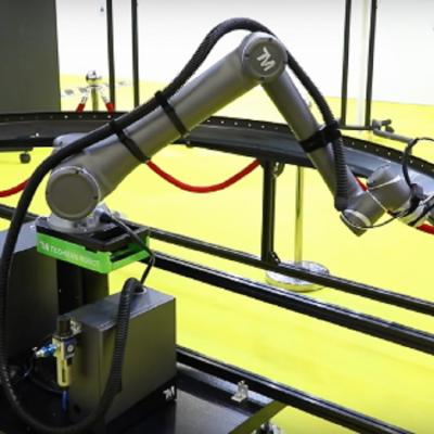 Cina Chinese TM Cobot Robot For Mig Welding Applicable 3C Industry Automobile And Food industry Collaborative Robot in vendita