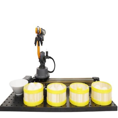 Cina WLkata ABS artificial intelligence cnc 6 axis mini robot for education or pick and place in vendita