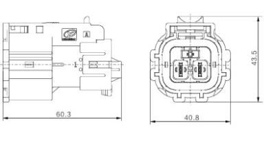 Cina Neopower 2 pin connettore elettrico ad alta tensione 40A 1000V con HVIL, Poka-Yoke e 360° schermatura in vendita