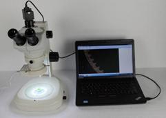 China HSM-645S Digital Stereoscopic Microscope with 3MP Camera for sale