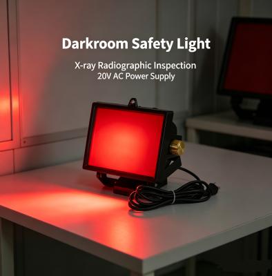 China DG-20A Darkroom Red Safety Lamp Wall Mounted & Desktop LED Red Light For Radiography Testing for sale