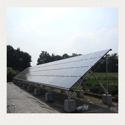 Cina La luce solare dei sistemi di racking del supporto a terra domestico di PV 3kw ha pesato la struttura di pannelli di progettazione in vendita