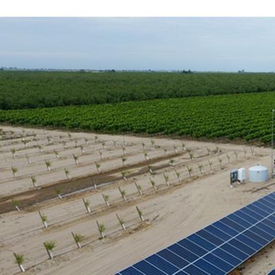 China Nenhum sistema solar do ODM MPPT do OEM de MOQ para a casa à venda