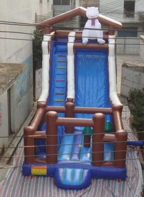 Cina Scorrevole gonfiabile all'aperto di verde/blu PVC della tela cerata dei buttafuori per i bambini in vendita