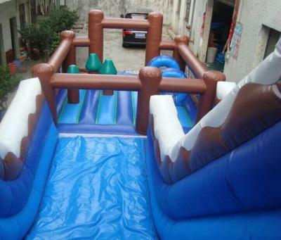 Cina Scorrevole gonfiabile all'aperto di verde/blu PVC della tela cerata dei buttafuori per i bambini in vendita