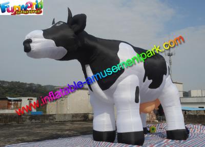China Large Inflatable Animals , Giant Inflatable Cow Model FOR Event Advertising for sale