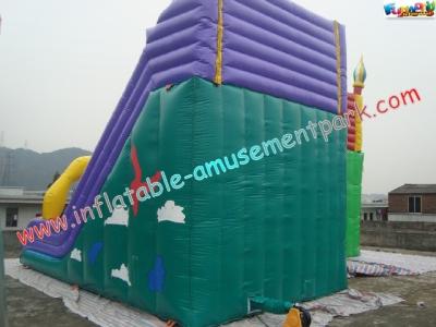 Cina Acqua gonfiabile commerciale variopinta, scorrevole gonfiabile gigante della corsa per i bambini in vendita