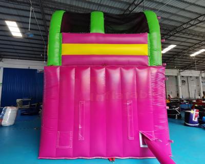 China Multi Color Backyard Palm Tree Jumping Bouncer Water Slide for sale