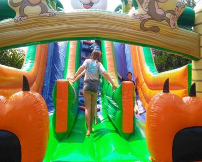 Cina Castello rimbalzante adulto dei buttafuori di Tiger Double Side Inflatable Jump in vendita