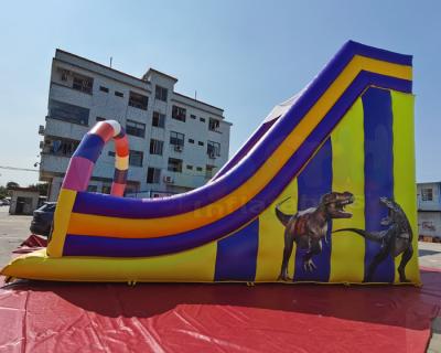 China Playground Jumping Inflatable Slide Bouncer For Birthday Party for sale