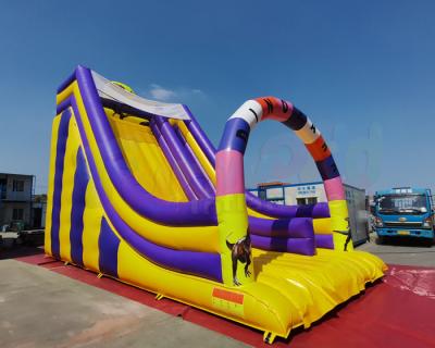 China Playground Jumping Inflatable Slide Bouncer For Birthday Party for sale
