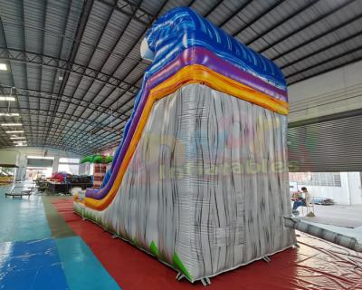 Cina Palma gonfiabile all'aperto adulta degli acquascivoli che salta castello rimbalzante in vendita