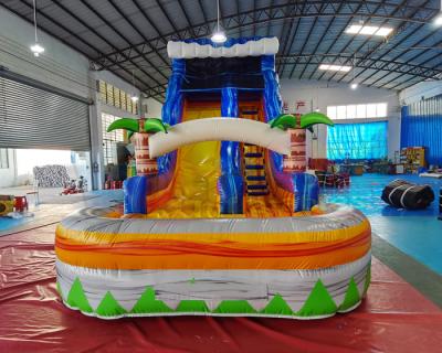 Cina Palma gonfiabile all'aperto adulta degli acquascivoli che salta castello rimbalzante in vendita