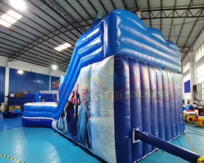 China Corrediça de água inflável de salto dobro congelada do leão-de-chácara com associação à venda
