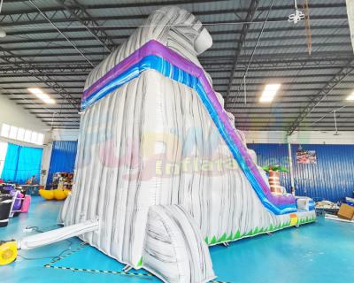 Cina Acquascivoli gonfiabili all'aperto del PVC di multi colore 0.55mm in vendita