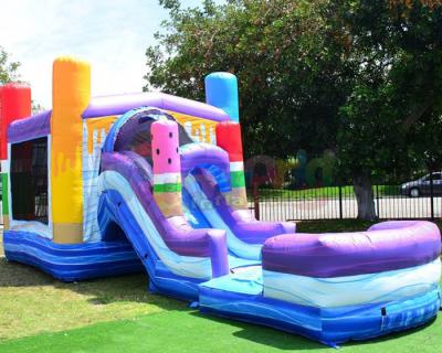 China As crianças jardinam tamanho personalizado combinado da casa inflável do salto à venda