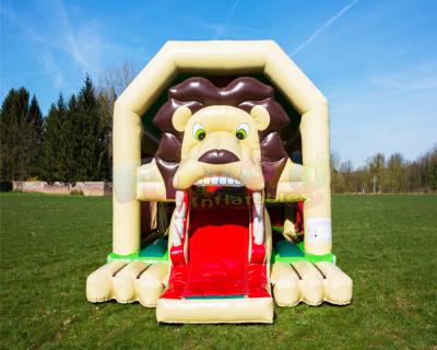 China Kommerzielles aufblasbares Prahler-Dia-kombinierte Kinder, die Schloss springen zu verkaufen