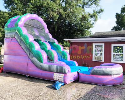 Cina Plato Outdoor Inflatable Water Slides con la Camera di salto dei buttafuori dello stagno in vendita