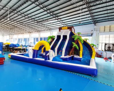 China Plato Double Side Inflatable Water Slide Jumper Bounce House for sale