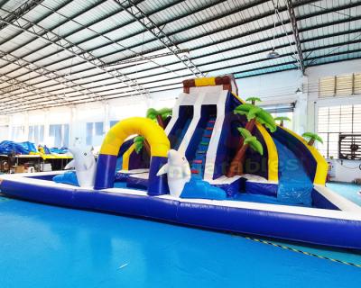 China Plato Double Side Inflatable Water Slide Jumper Bounce House for sale